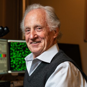 Mario Capecchi | Research Communities by Springer Nature