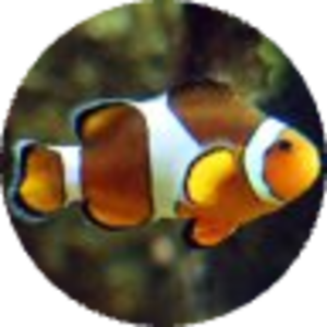 Zhentao Wang | Research Communities by Springer Nature