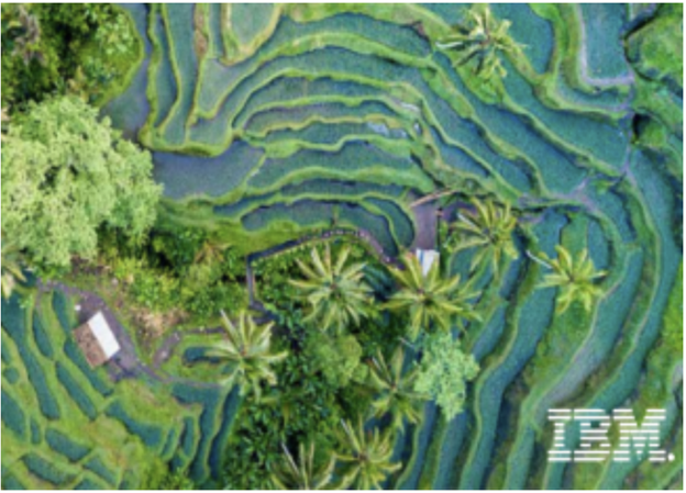 Sustainability and digitisation: A forward-looking approach for ...