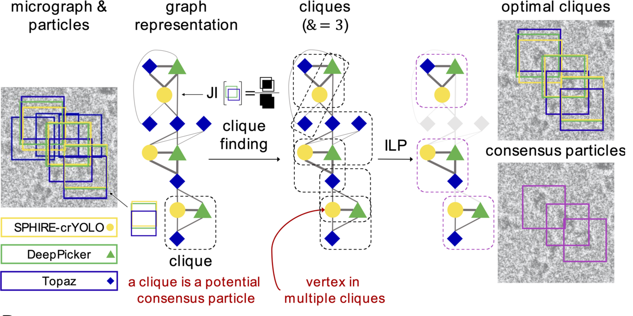 Consensus is key: reliable cryo-EM particle picking leveraging multiple pickers using REPIC ...