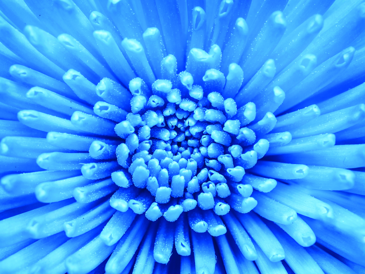 Fundamentals for Editors Webinars- More Sessions Added! | Springer ...