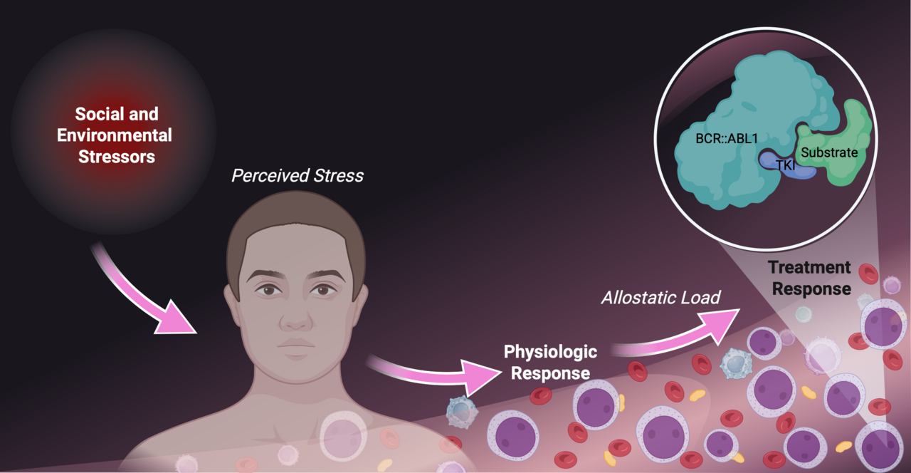 The Hidden Burden of Stress in Chronic Myeloid Leukemia | Research ...