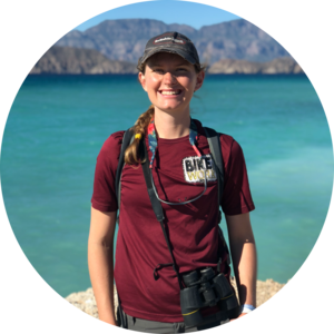 Helen Killeen | Research Communities by Springer Nature